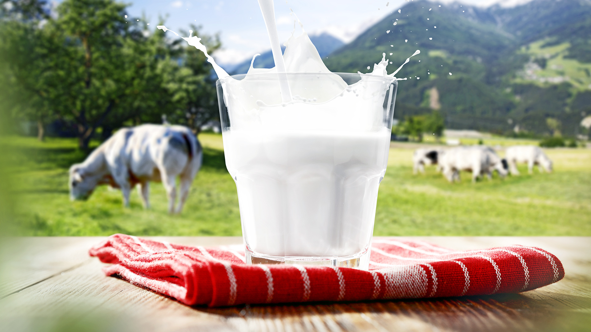 Luomu mainonnassa - RuokaTutka