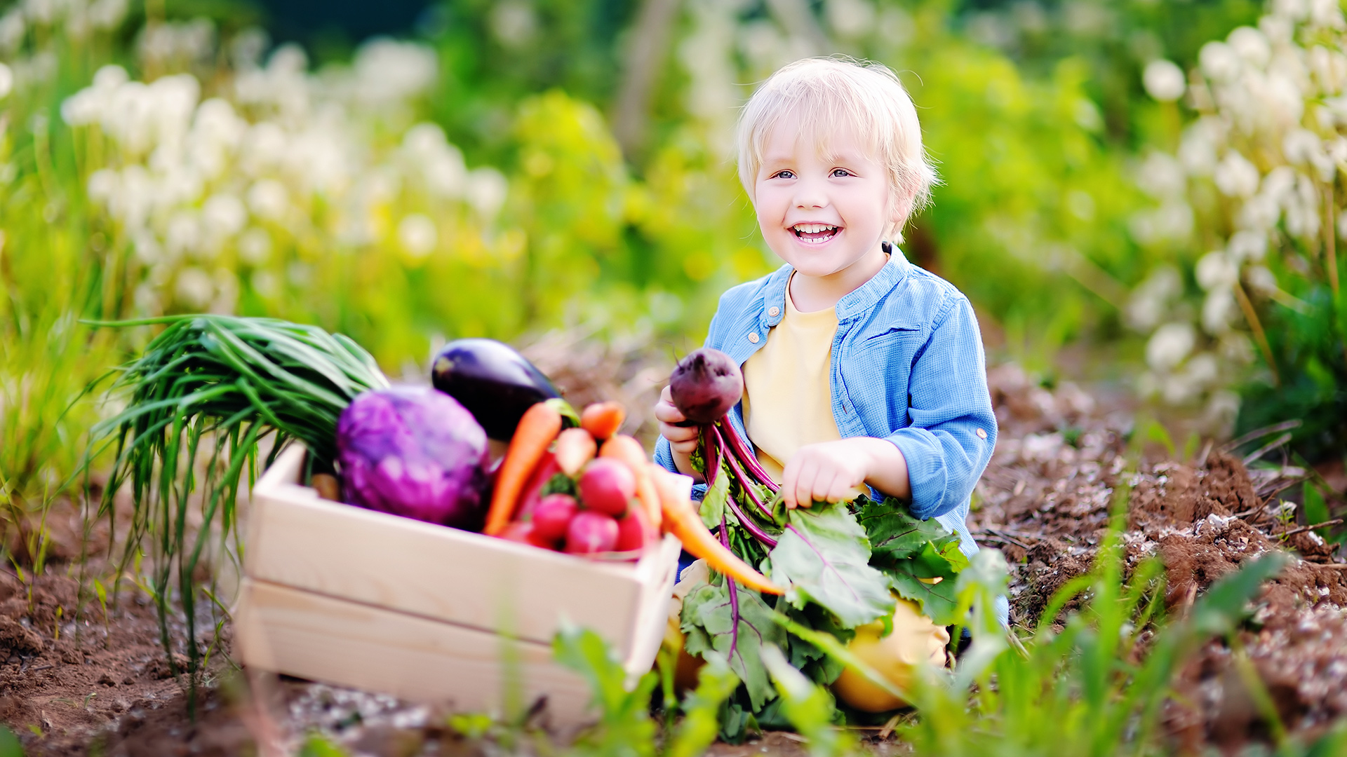 Luomuruoka maistuu - RuokaTutka